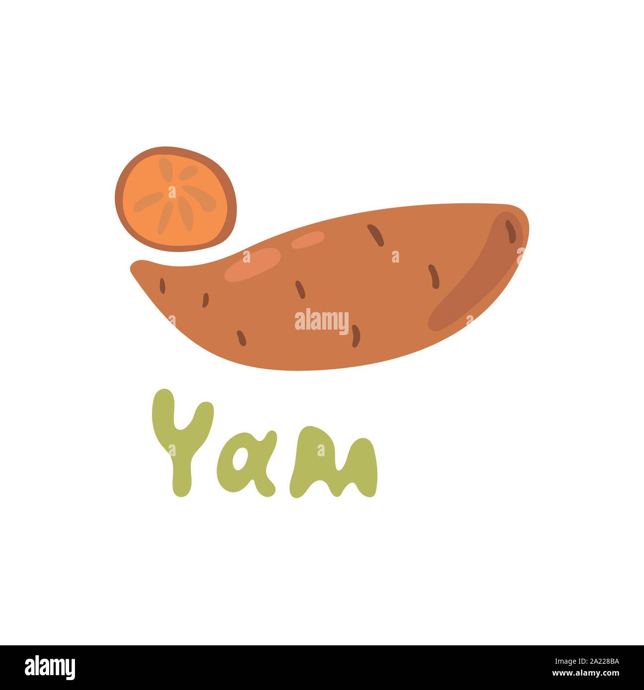 Sweet golden yam kind of potato. Vector illustration isolated on white ...