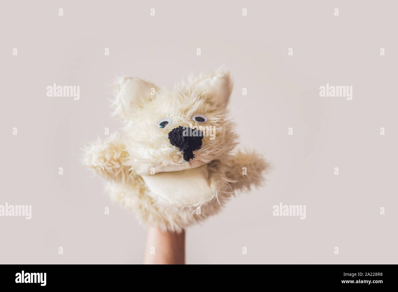 Puppet show dog on a gray background. Space for text or replicas Stock ...