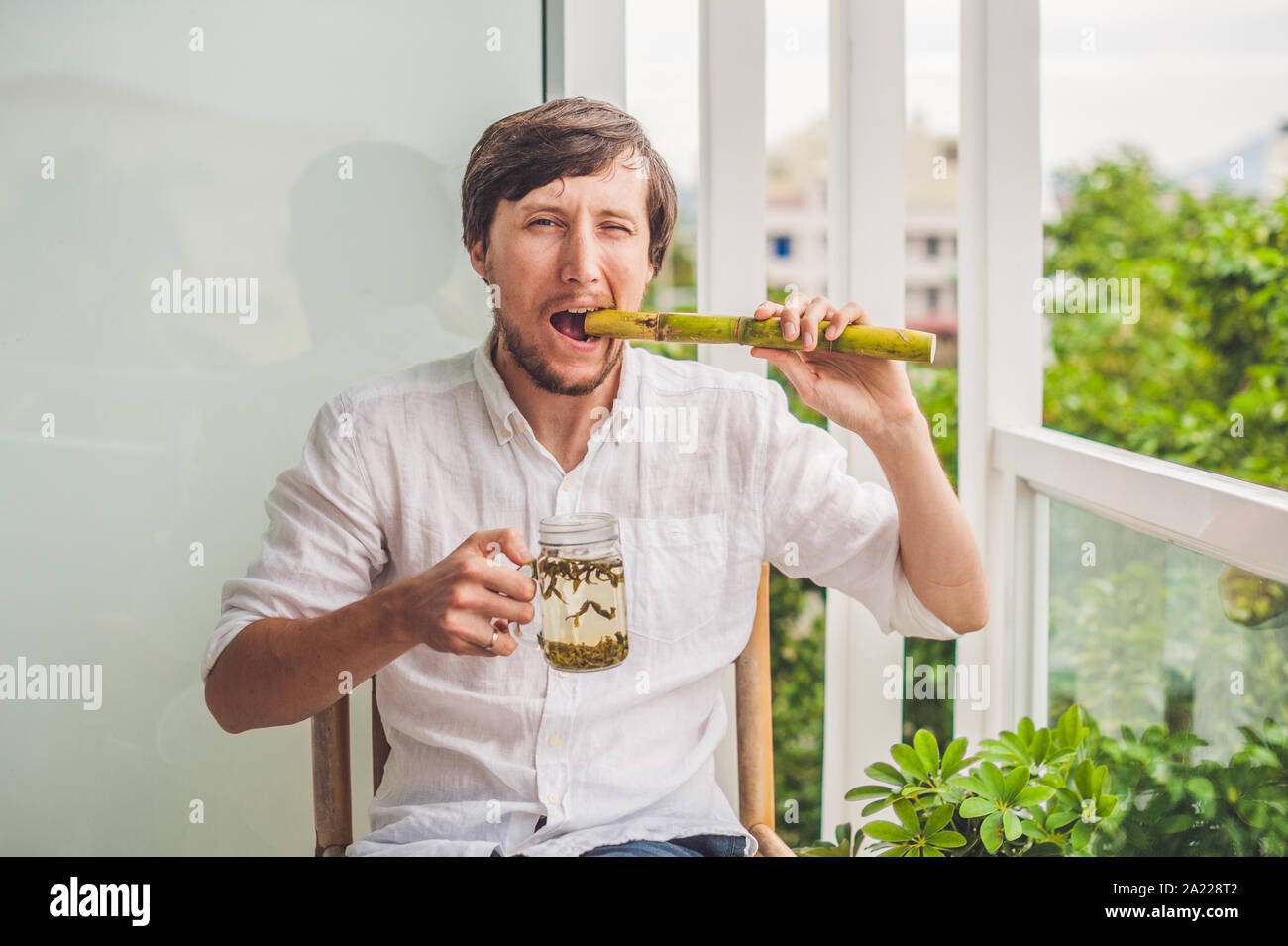 Cane sugar concept. The man jokingly eating sugar cane and drinks tea ...