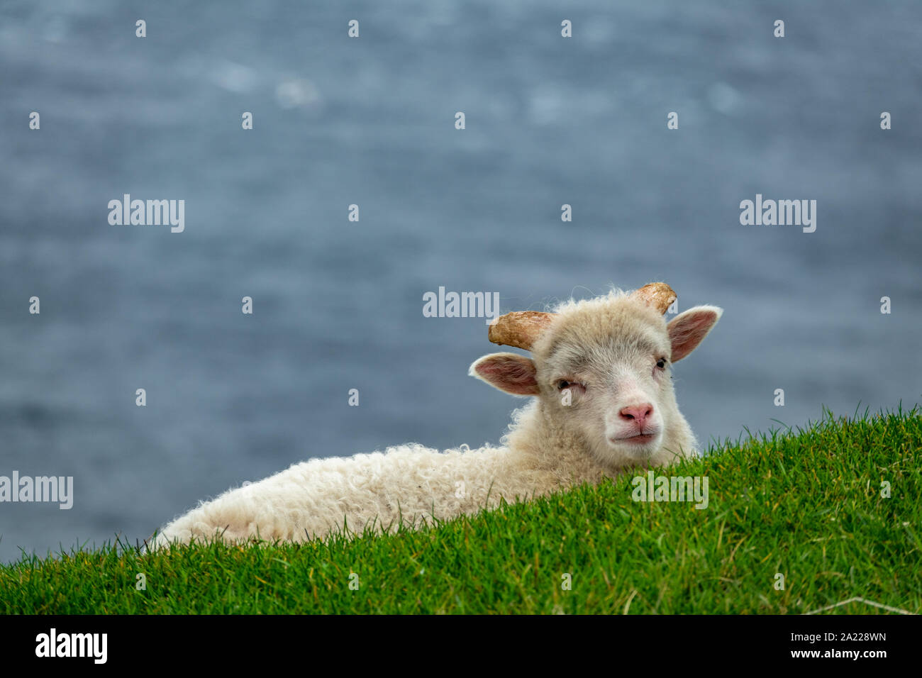 Baby slope hi-res stock photography and images - Alamy