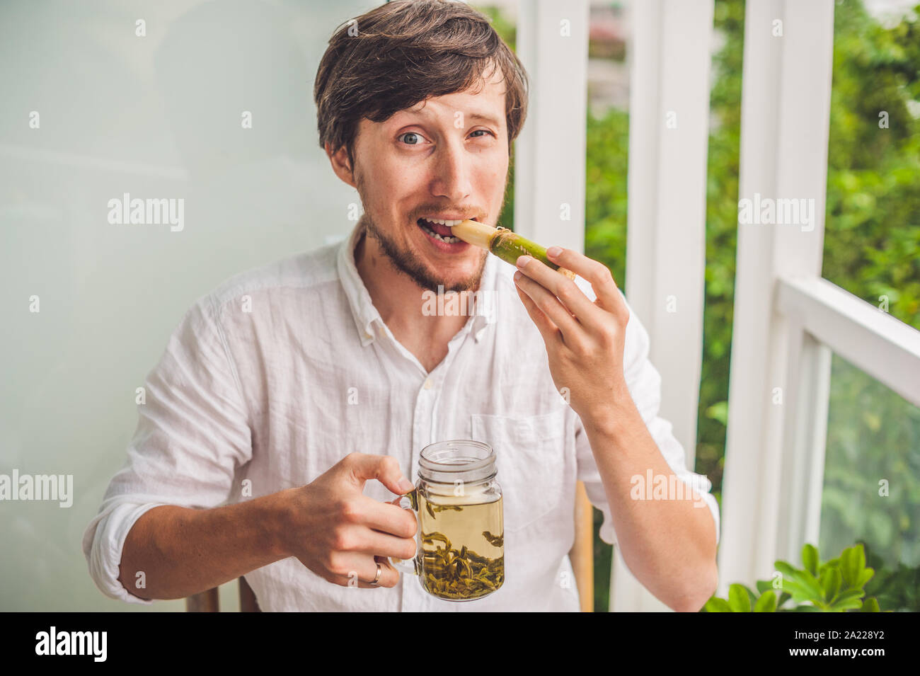 Cane sugar concept. The man jokingly eating sugar cane and drinks tea ...