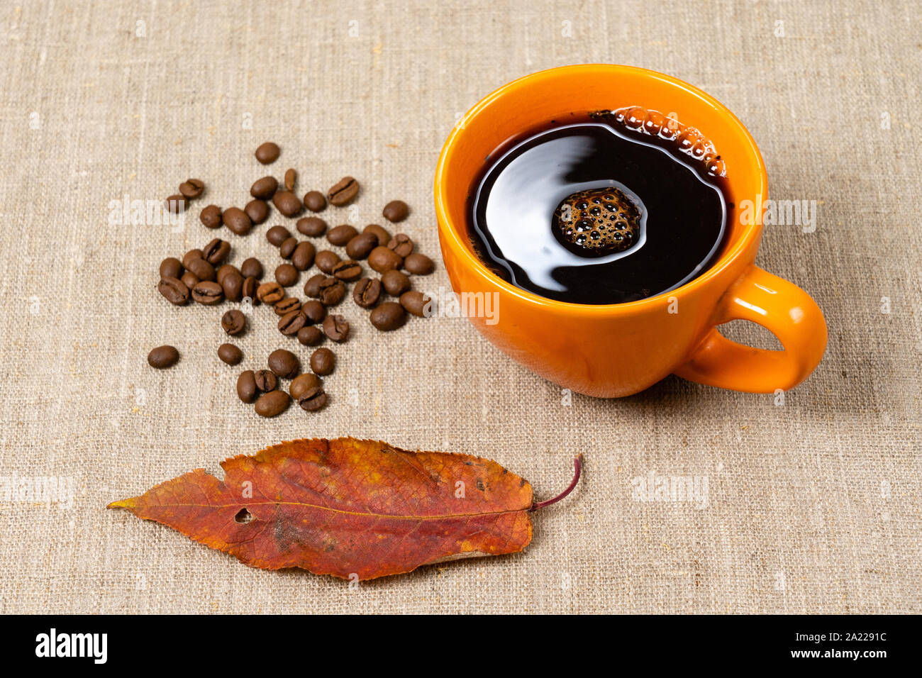 A mug of hot black coffee, dry fallen leaves, coffee beans on a fabric ...