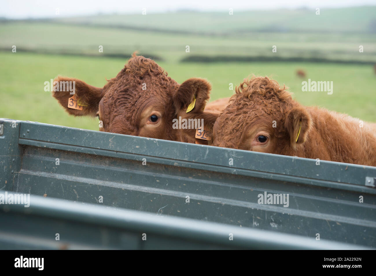 Landrover hi-res stock photography and images - Alamy