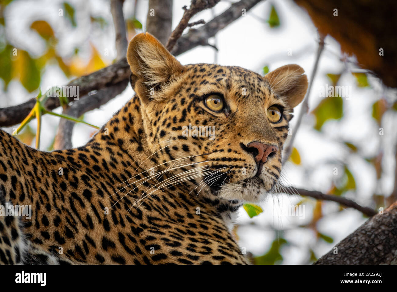 Eyes on the horizon hi-res stock photography and images - Alamy