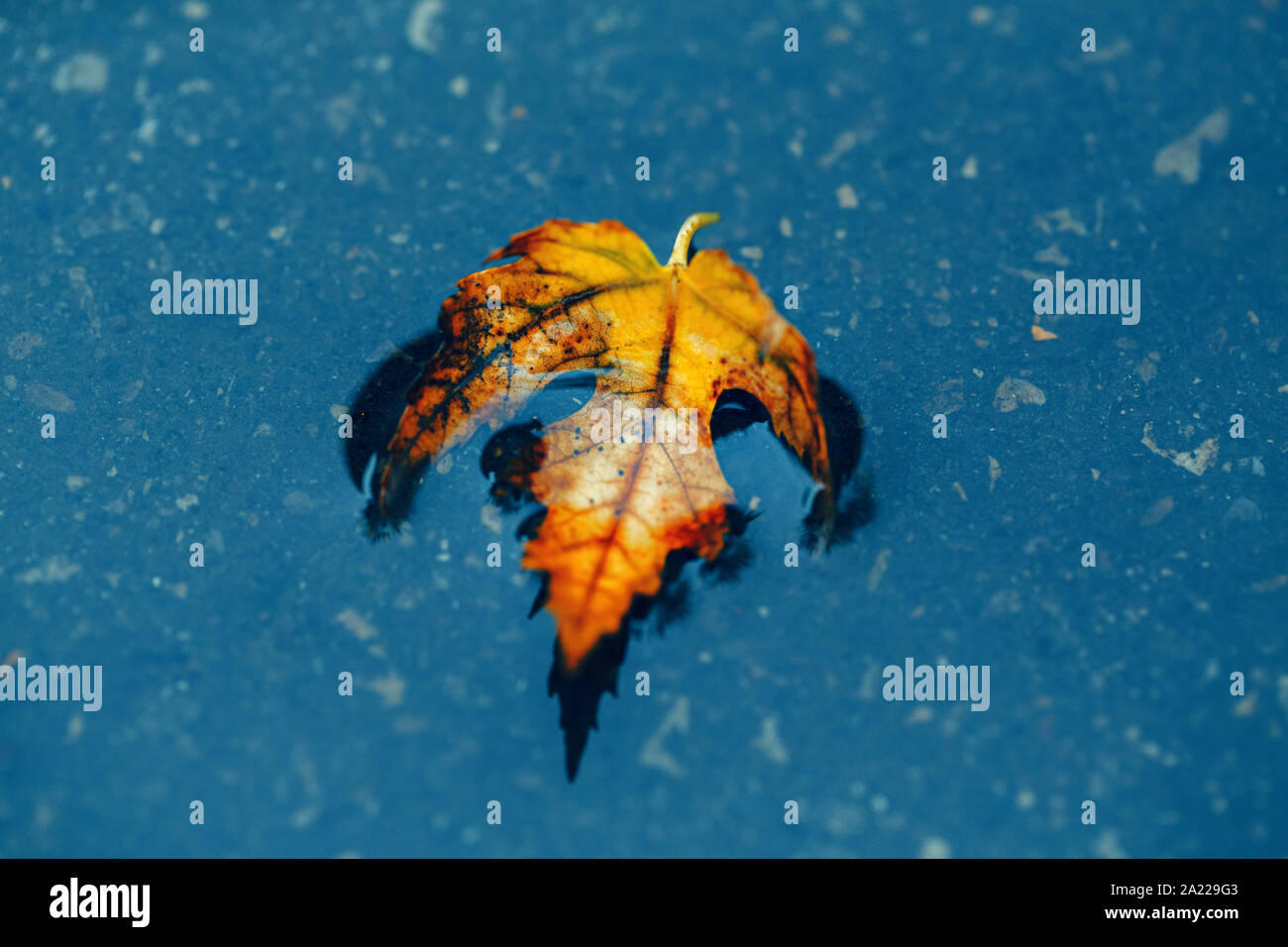 Puddle on ground hi-res stock photography and images - Alamy