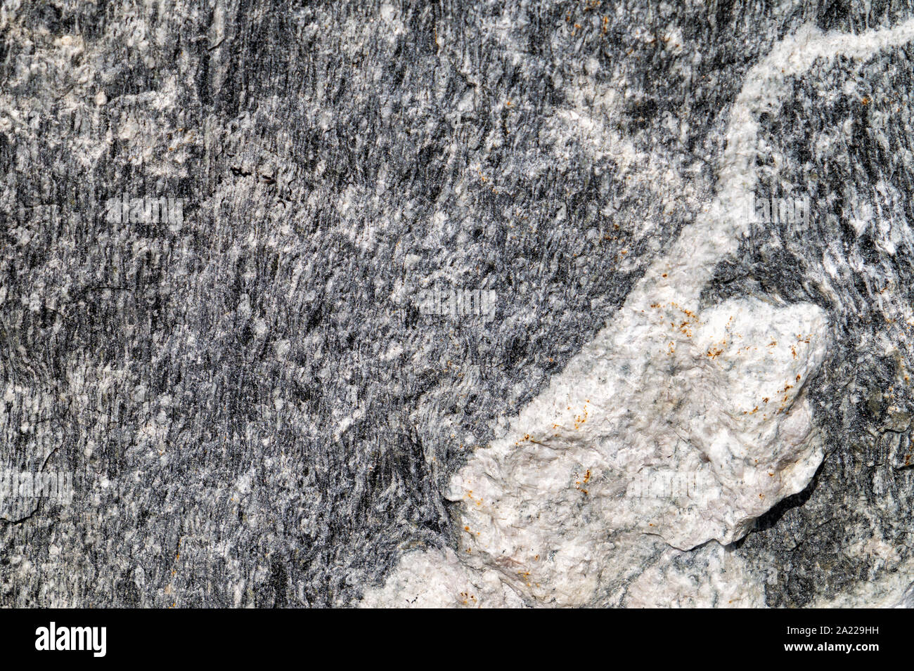 Natural stone texture. Gneiss large solid Stock Photo - Alamy