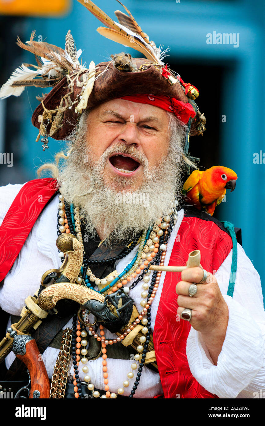 Long john silver pirate hi-res stock photography and images - Alamy
