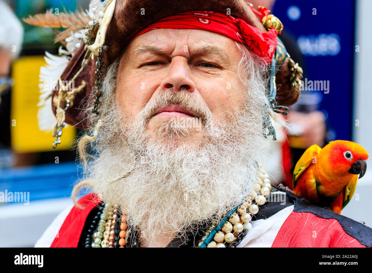 Long john silver parrot hi-res stock photography and images - Alamy