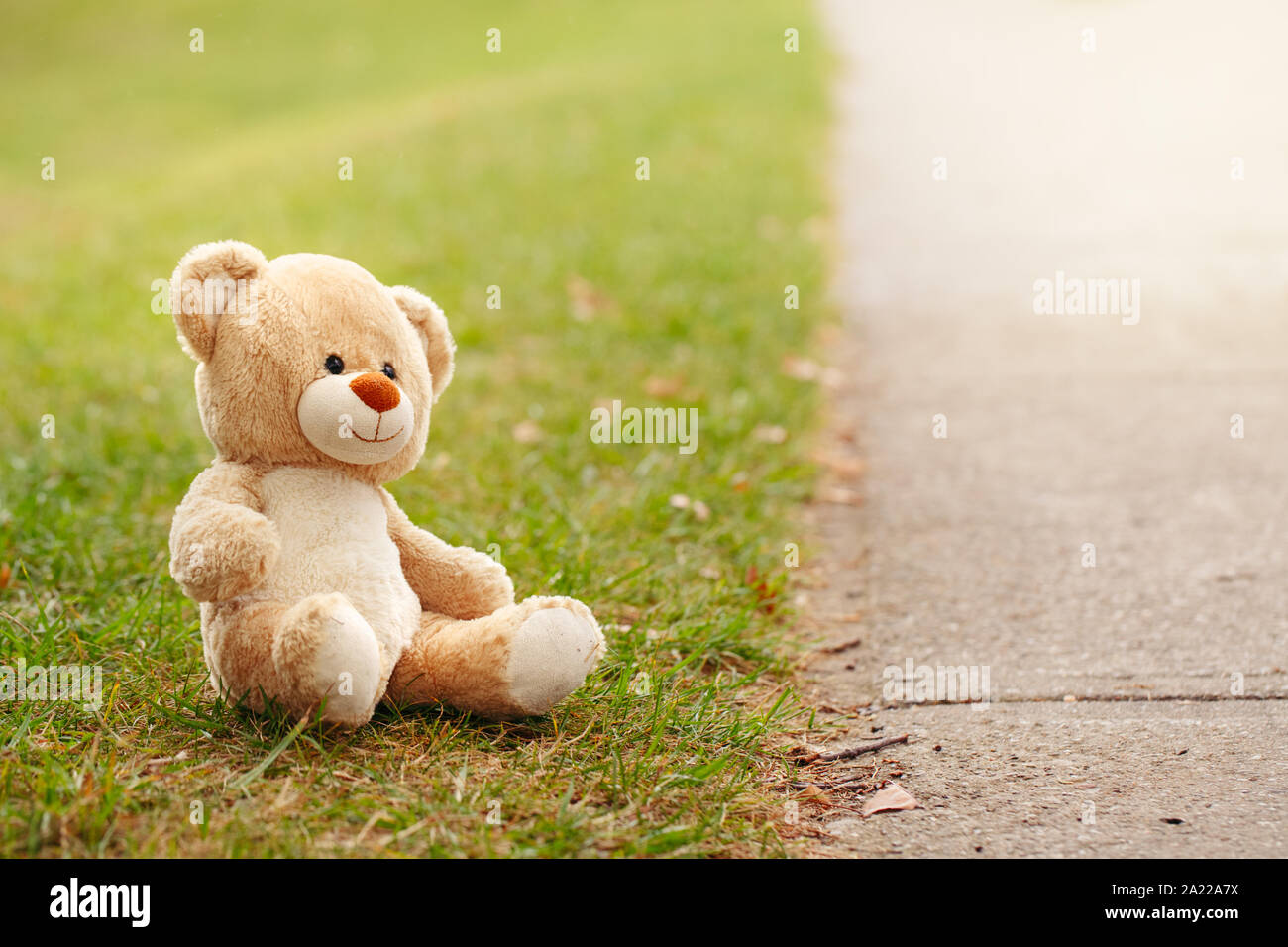 Cute adorable lost abandoned soft plush stuffed children toy teddy bear ...