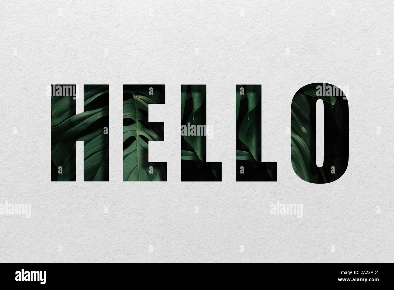 hello leaf natural word write Stock Photo - Alamy