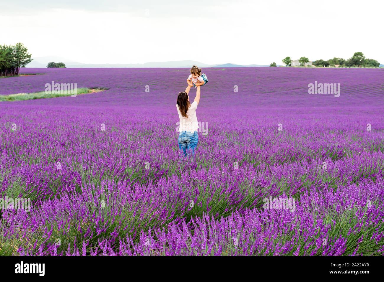 Girl in lavender fields hi-res stock photography and images - Alamy