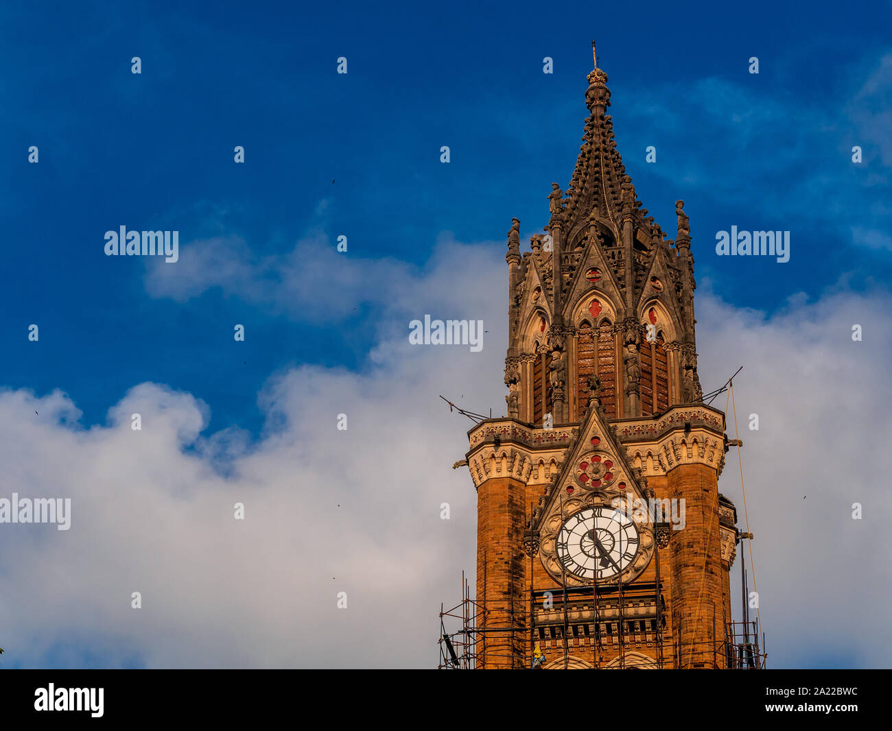 The University of Mumbai, informally known as Mumbai University (MU ...