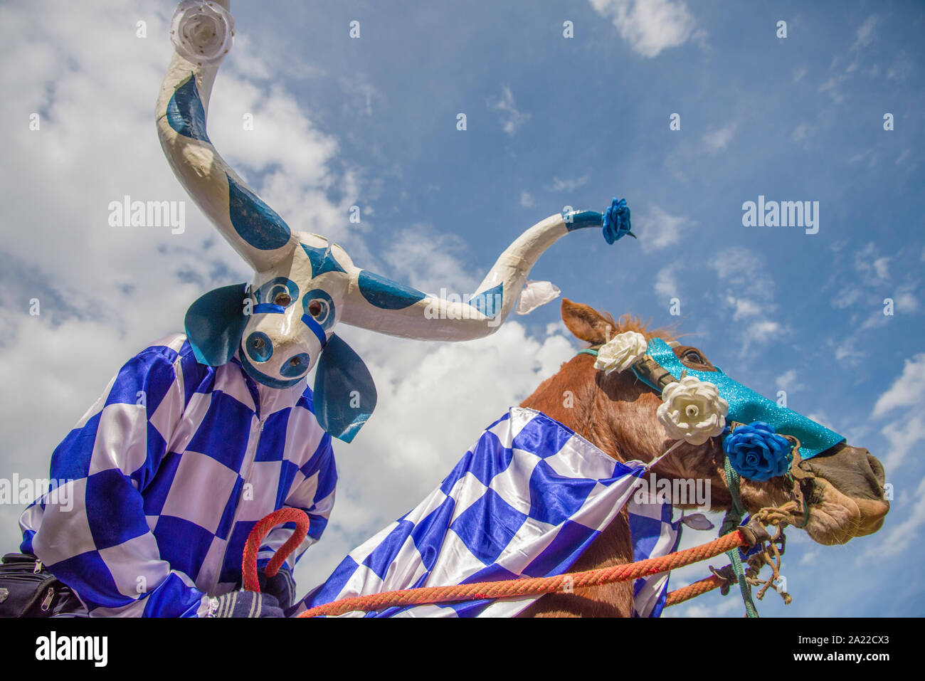 Party reveler hi-res stock photography and images - Alamy