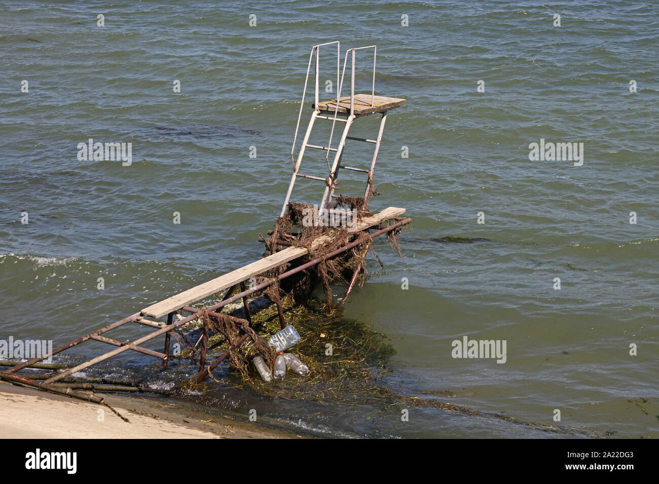 Surrounded by litter algae hi-res stock photography and images - Alamy