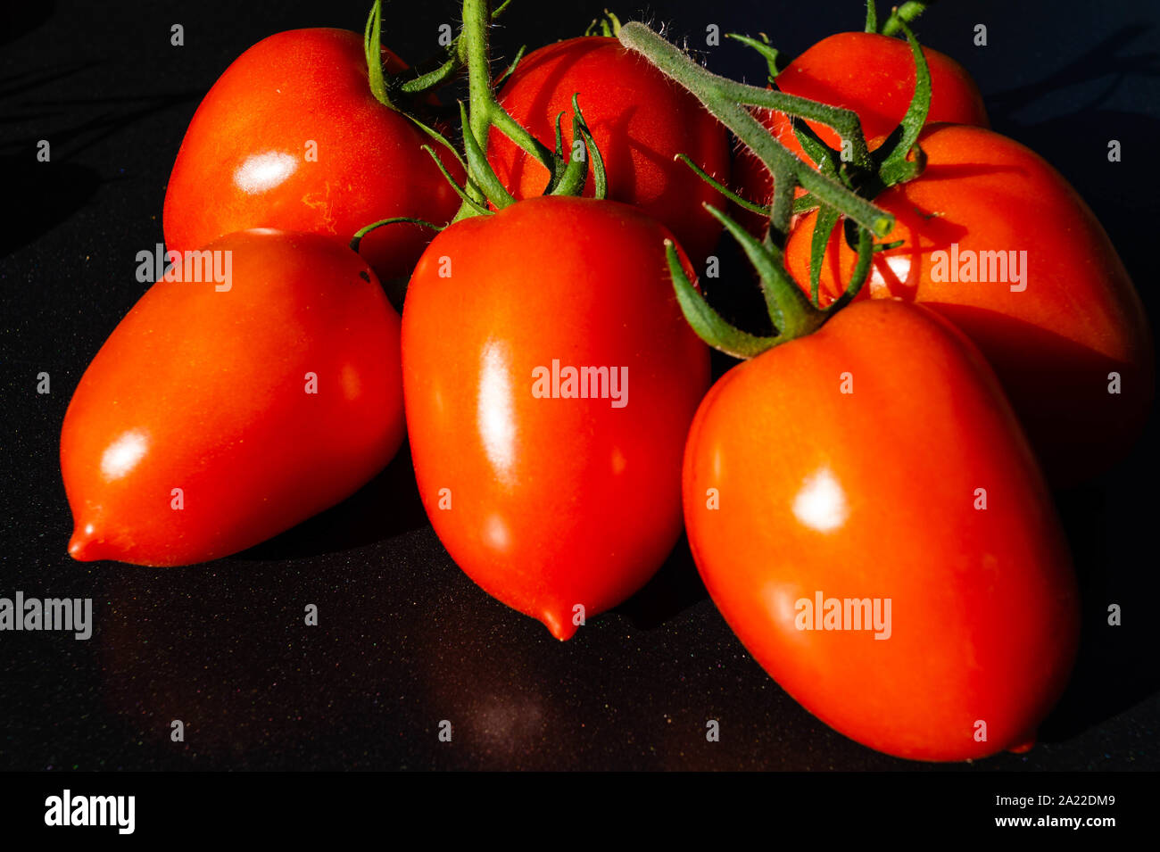 round red Tomato Solanum lycopersicum for a salad Stock Photo - Alamy