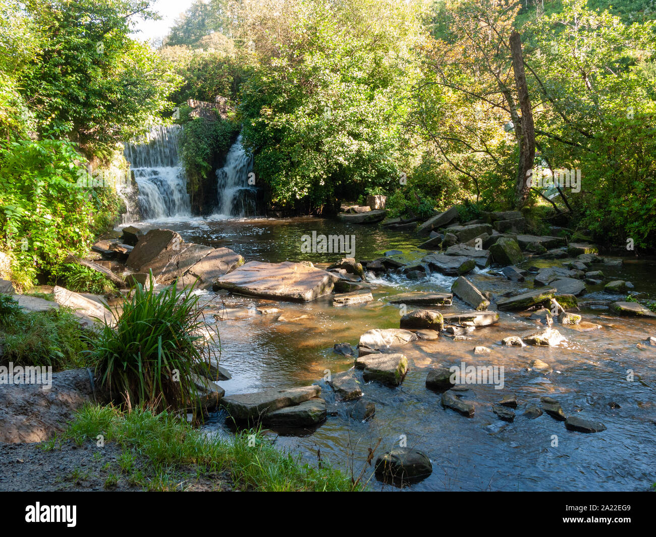 penllergare valley woods beautiful outside scenery in south wales ...