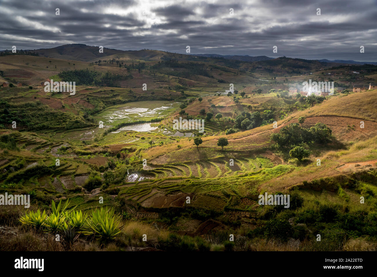 Beautiful landscape in Fianarantsoa countryside, with rice fields and ...