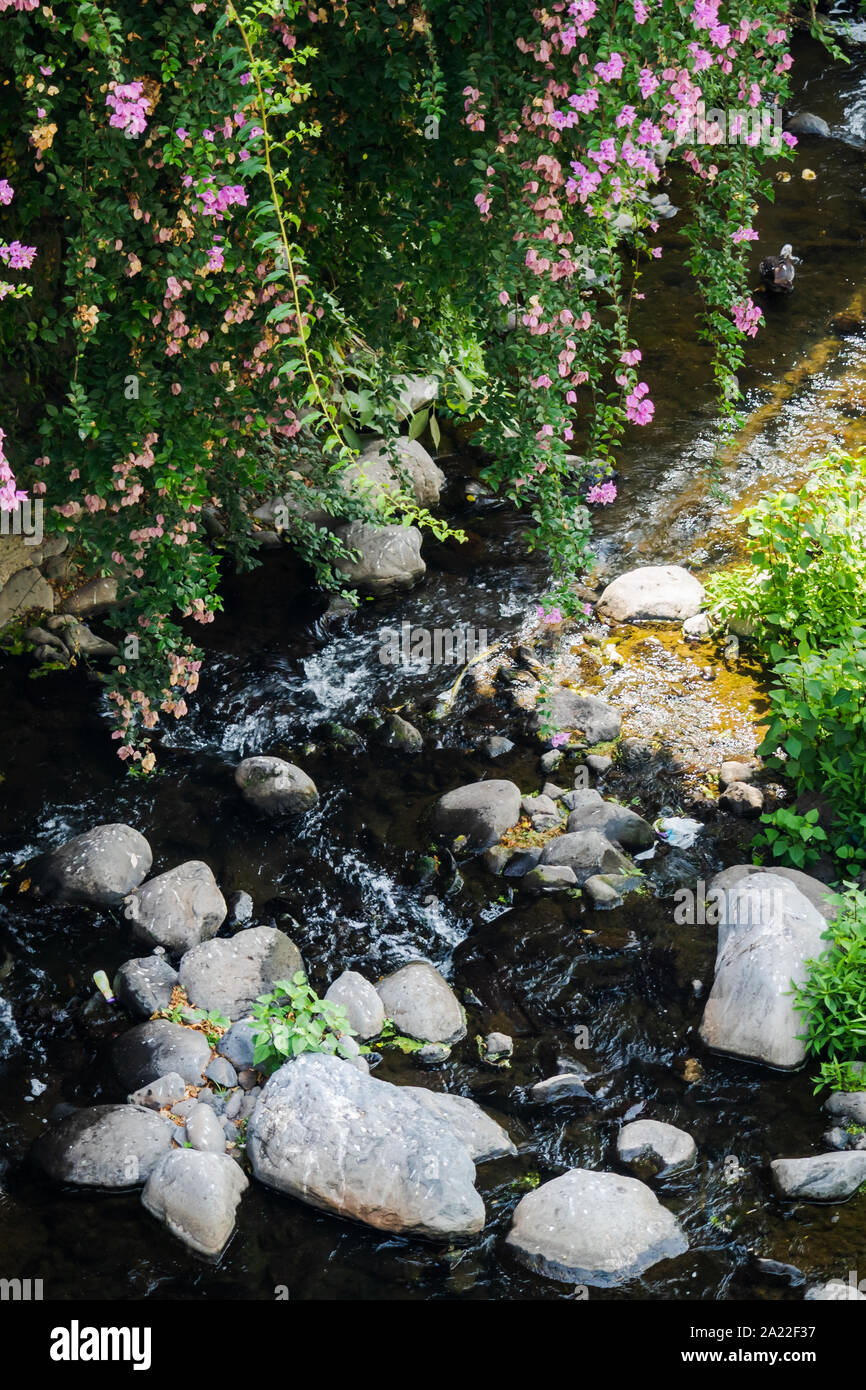 Water source current in Funchal street in Madeira Stock Photo - Alamy