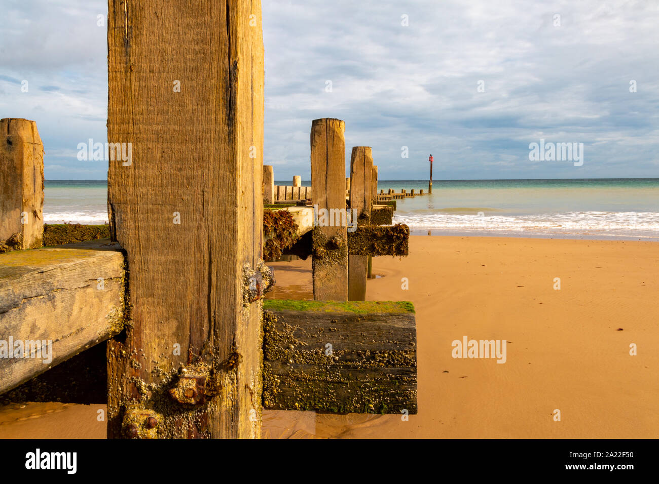 Close up wooden groynes hi-res stock photography and images - Alamy