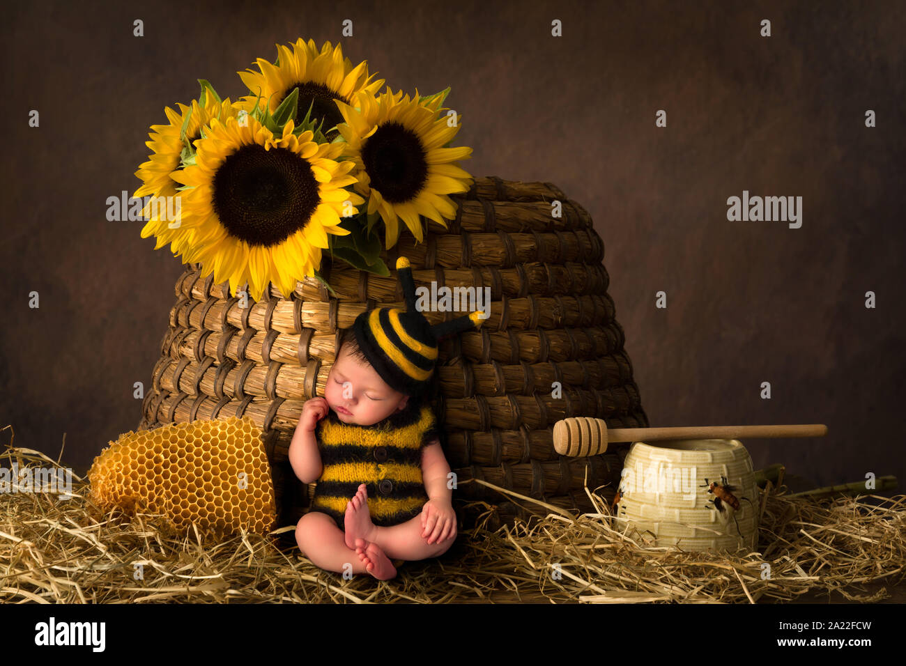 Sleepy cute baby in bee outfit resting against an antique beehive Stock ...