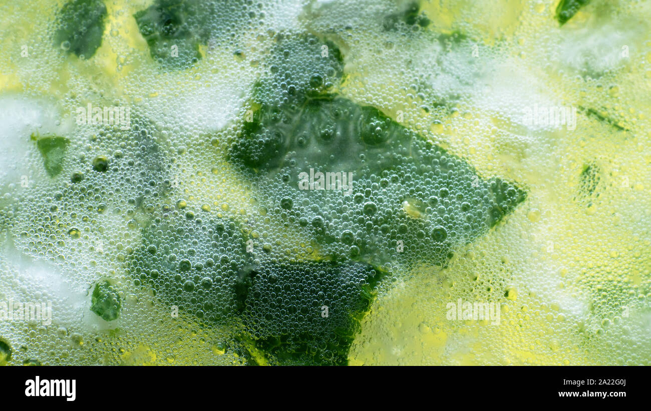 Color of life green background. Fragments of vegetation, Fermentation ...