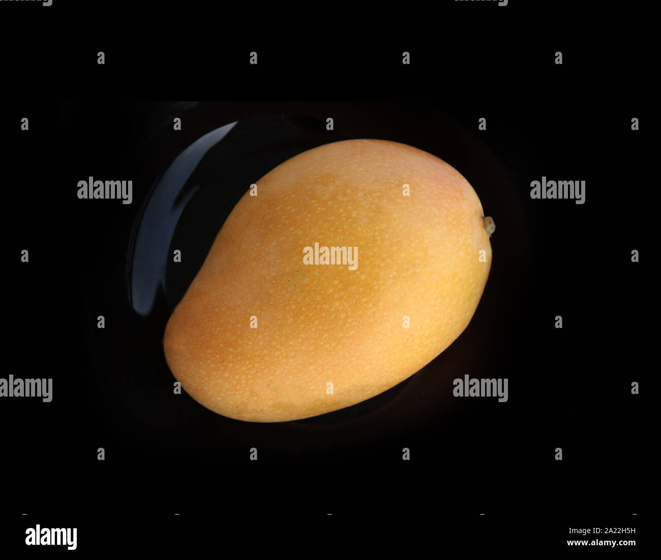 Mature yellow mango fruit on black background. Anacardiaceae family ...