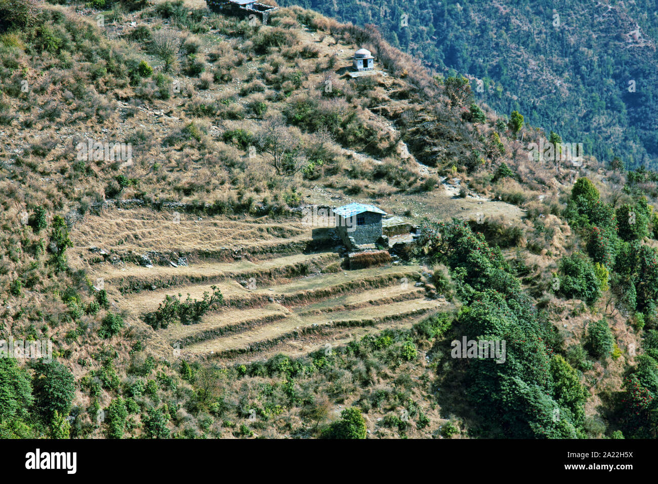 Terrace farming the mountains on the poor stony soils in India. Tiny ...