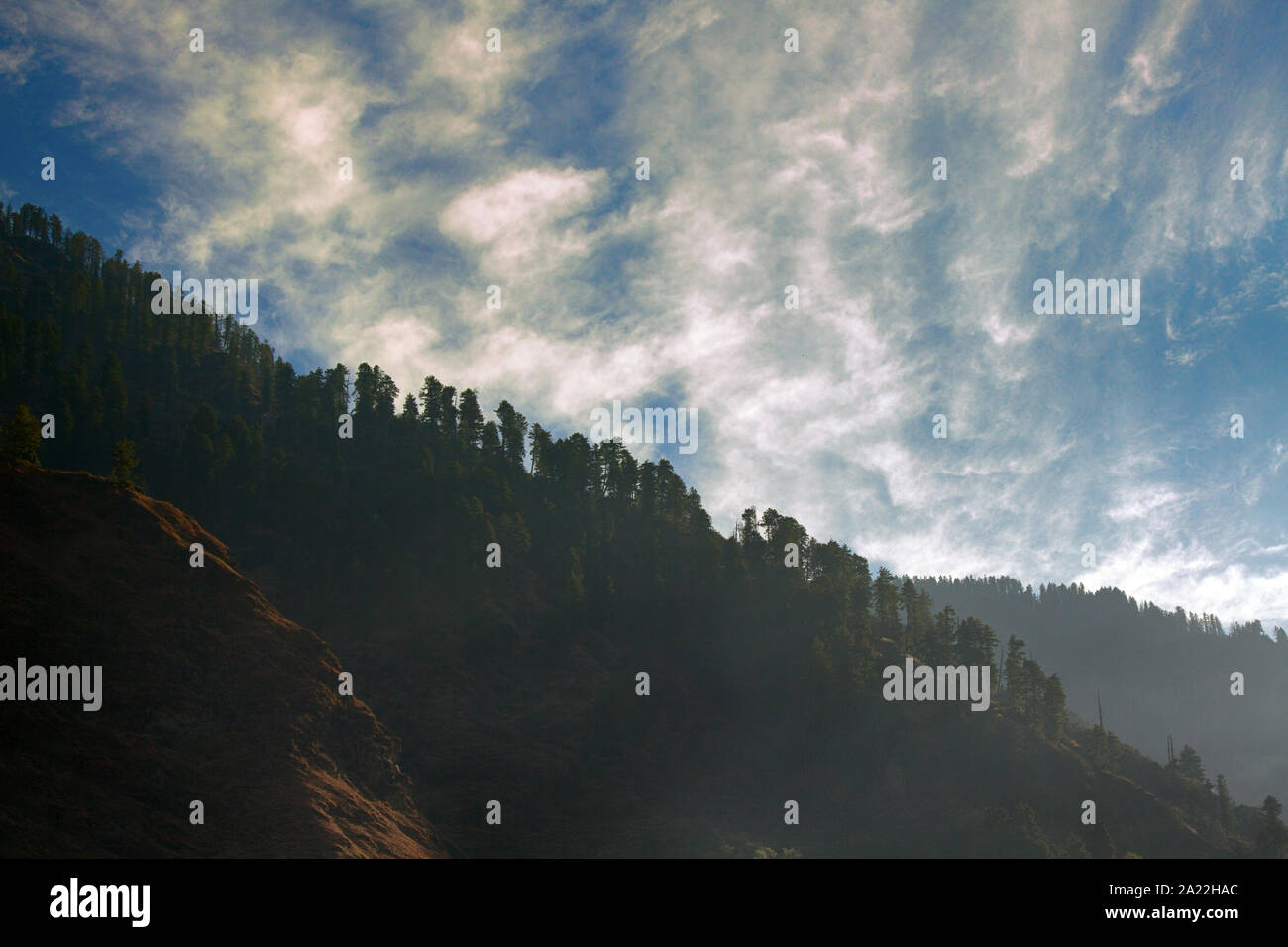 Semi evergreen forest india hi-res stock photography and images - Alamy