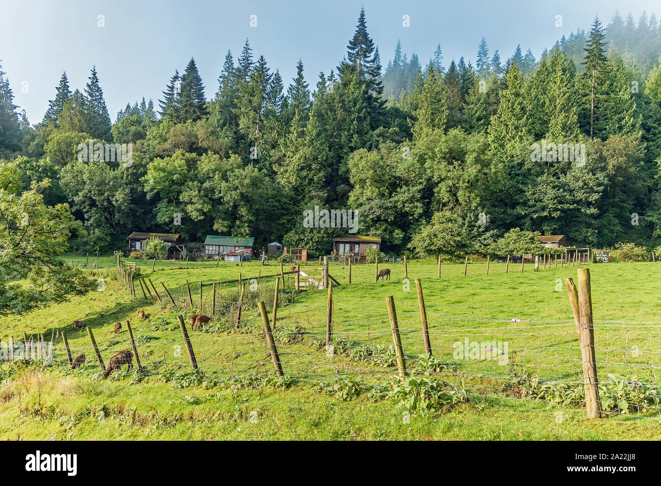Craig Highland Farm - views- animal sanctuary in Scotland Stock Photo ...