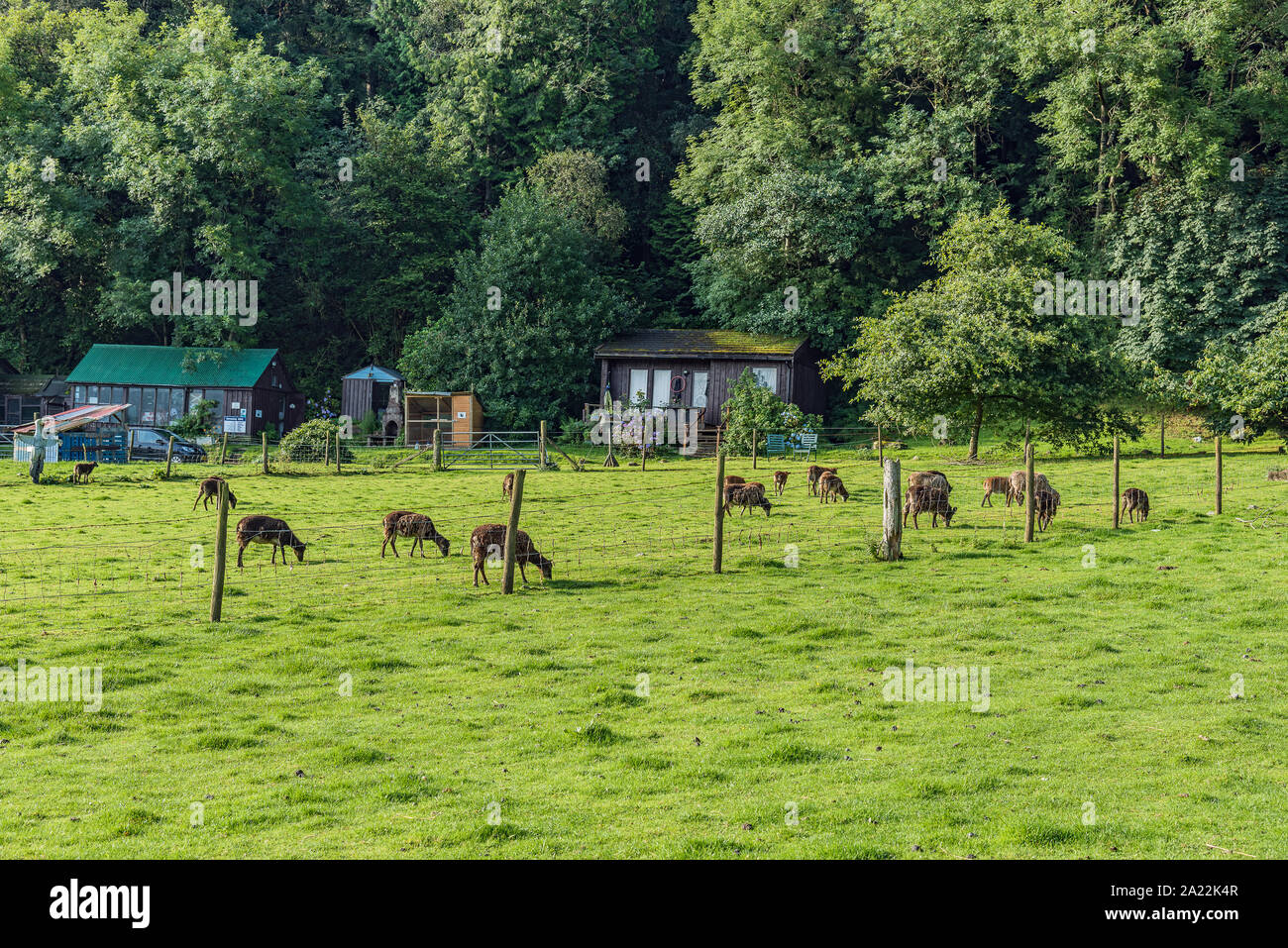 Craig Highland Farm - views- animal sanctuary in Scotland Stock Photo ...