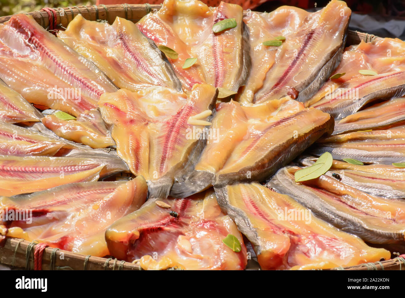 The striped snakehead fish drying in the sun for sale Stock Photo - Alamy