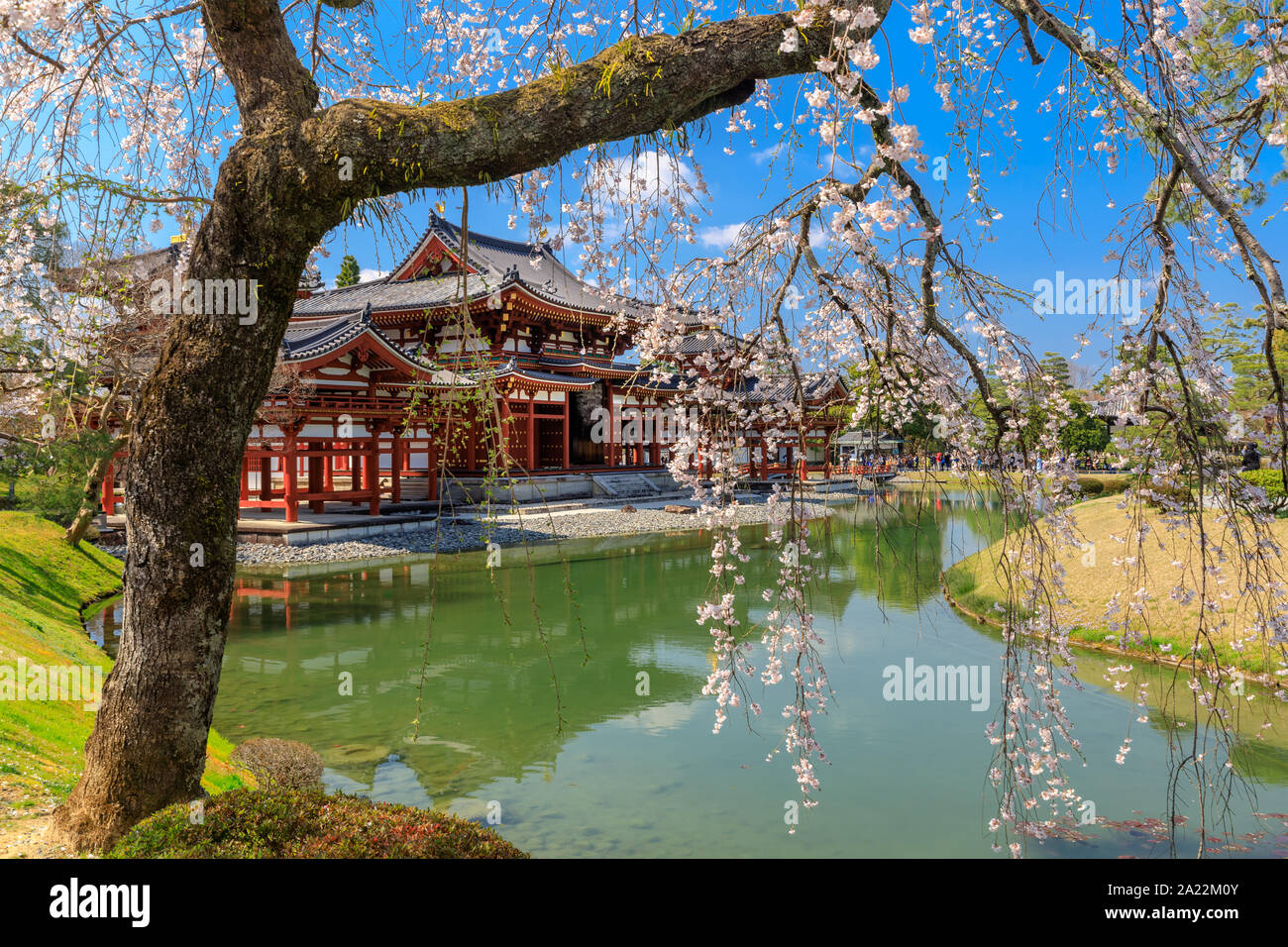 The Japanese Byodo-in Phoenix temple, world unesco heritage in the Uji ...