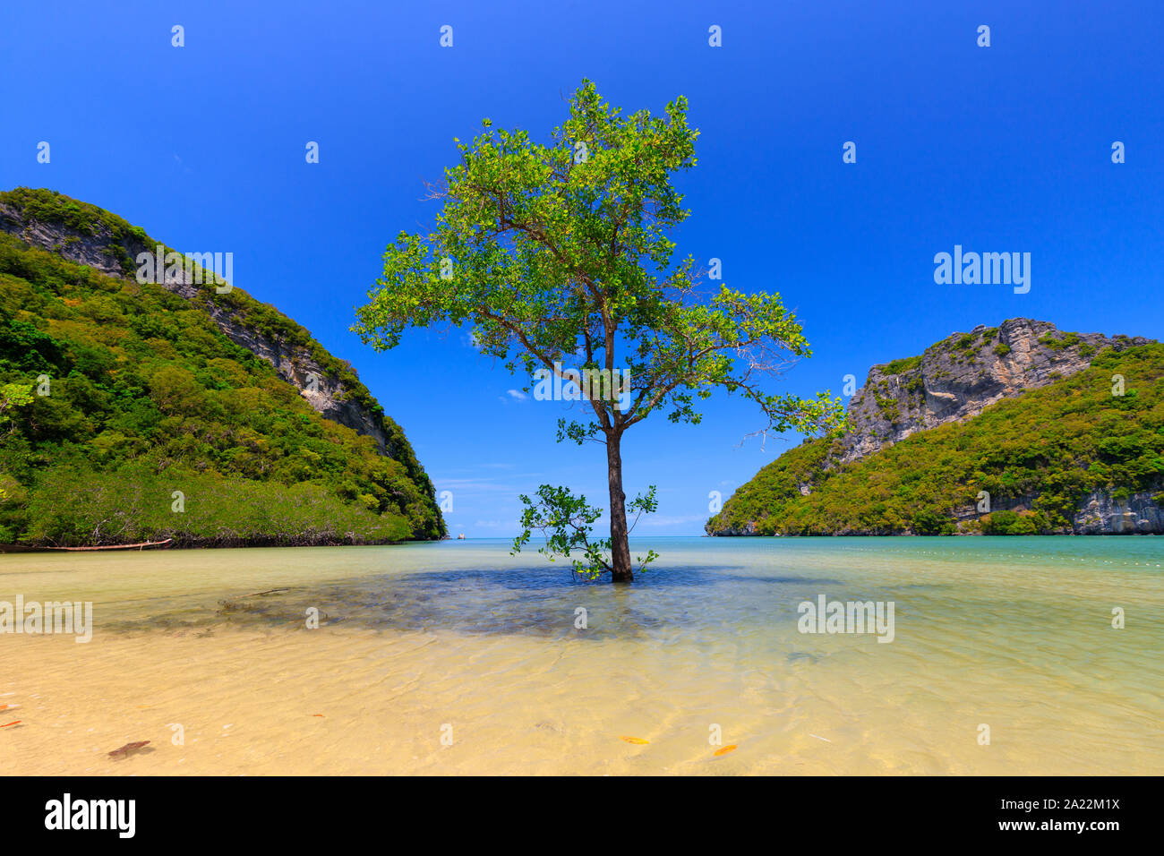 Ko phaluai hi-res stock photography and images - Alamy