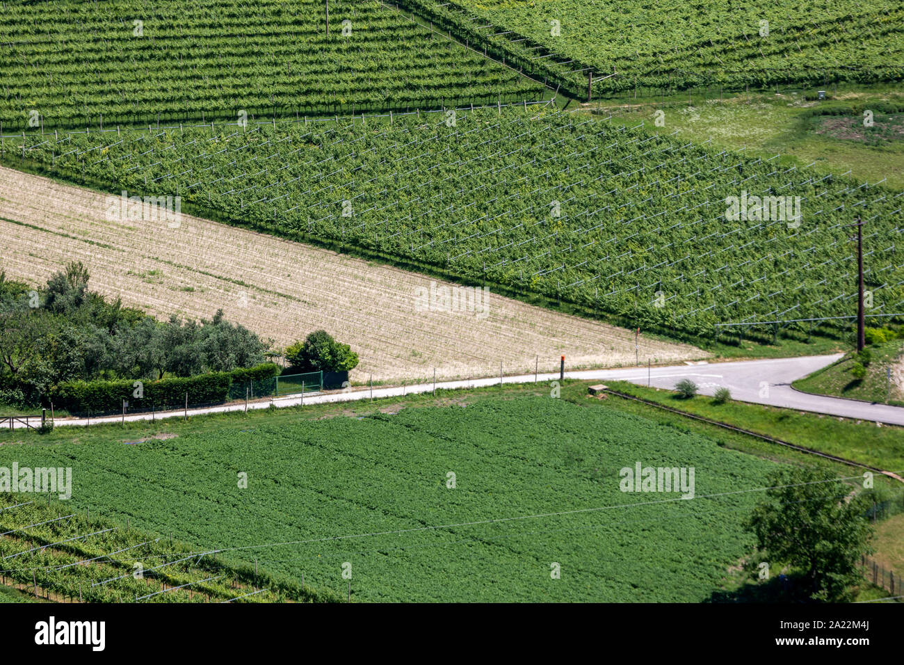 Aerial View of Green Gardens Vegetables FIelds in Italy Stock Photo - Alamy