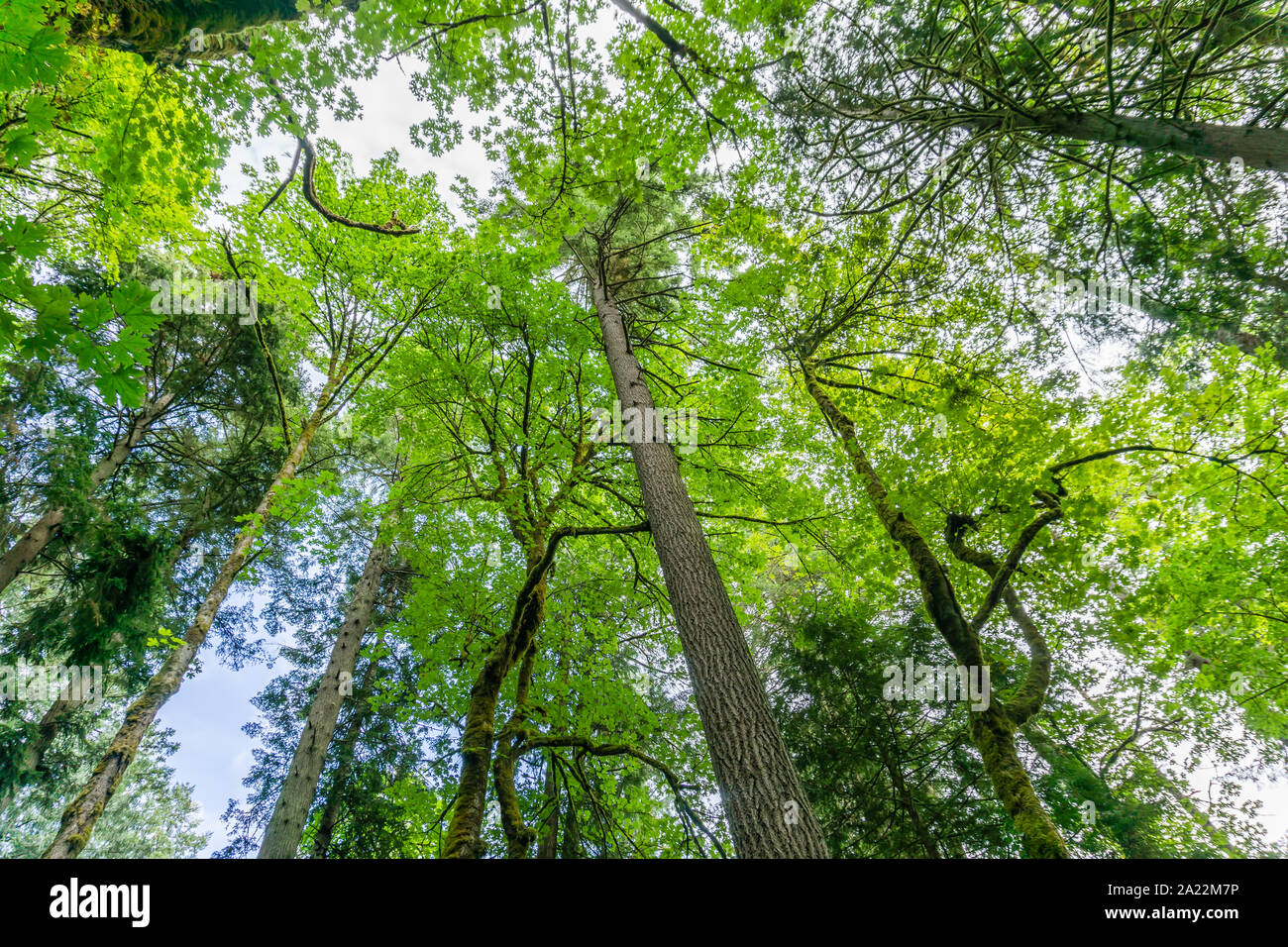 Priest point park hi-res stock photography and images - Alamy