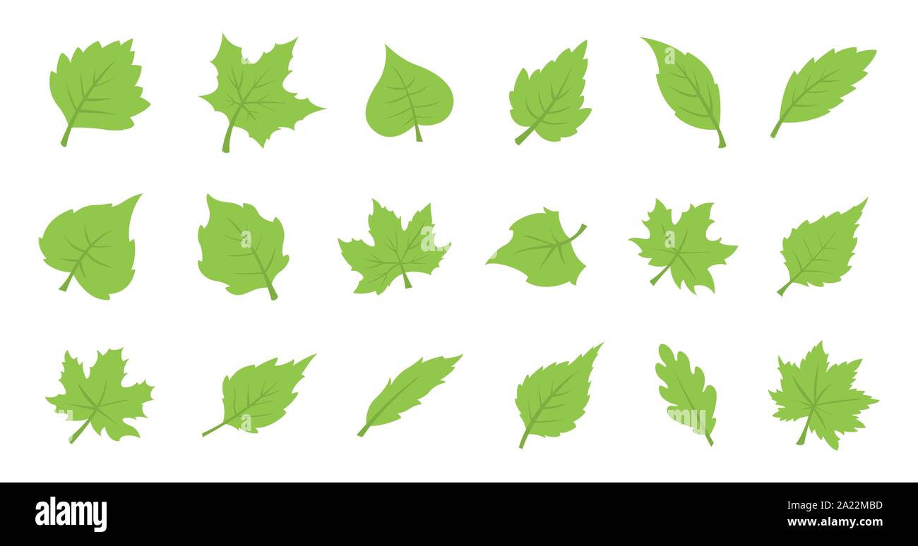 Green leaf set. Eco design Stock Vector Image & Art - Alamy