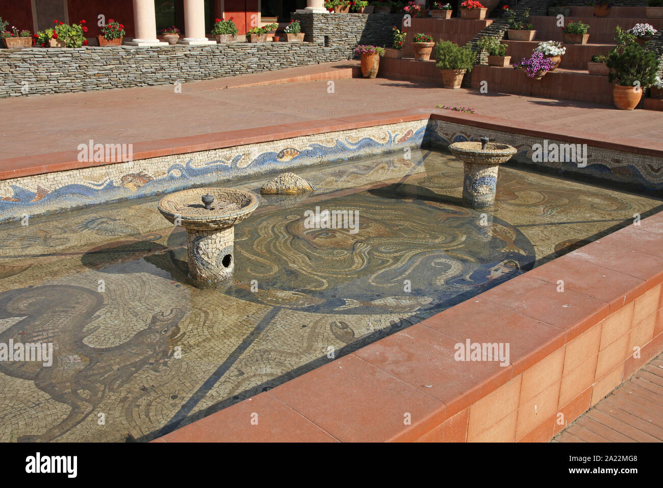 Serbian home plants hi-res stock photography and images - Alamy