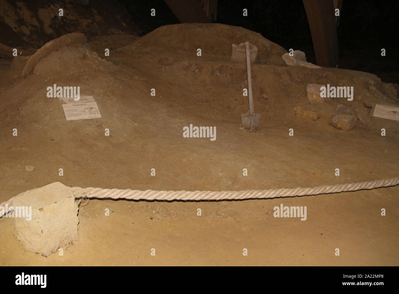 Mammoths bones serbia hi-res stock photography and images - Alamy