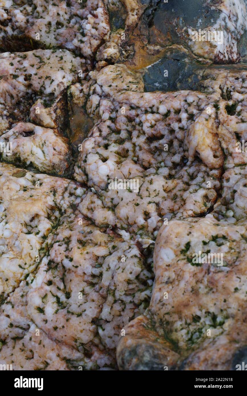 Pink Quartz Vein in Metasedimentary Rock. Cornish Geology Natural ...