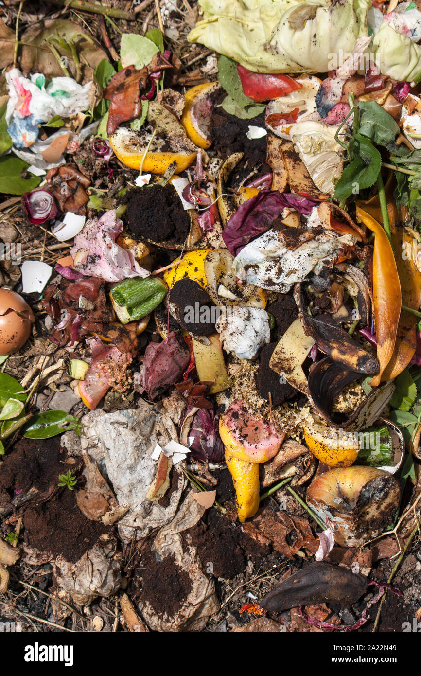 organic waste taken from above. Bio-waste with pieces of eggs ...