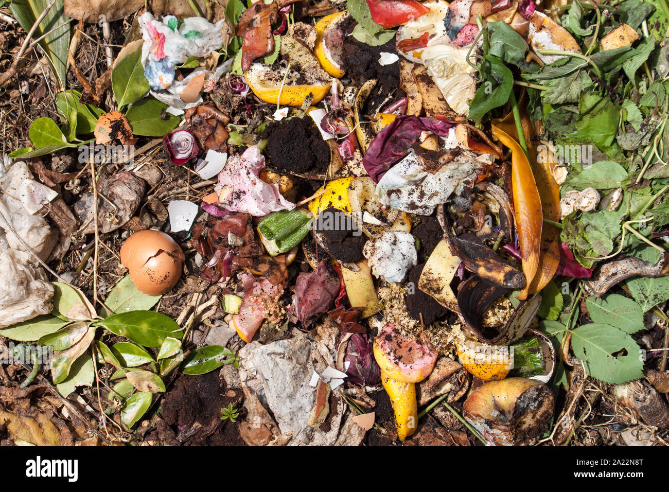 top view of organic waste. Bio-waste with pieces of eggs, onions and ...