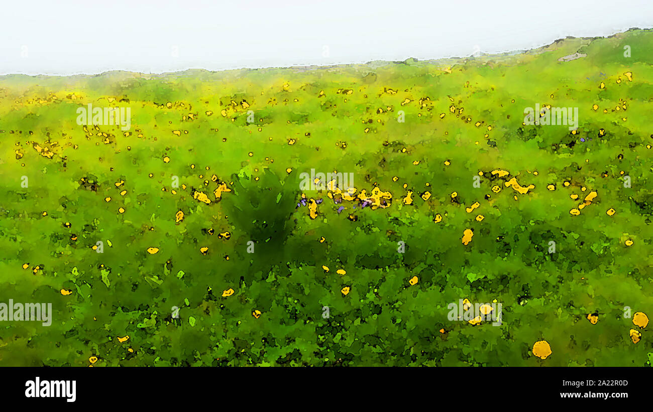 watercolor painting fresh green grass with yellow flowers in the ...