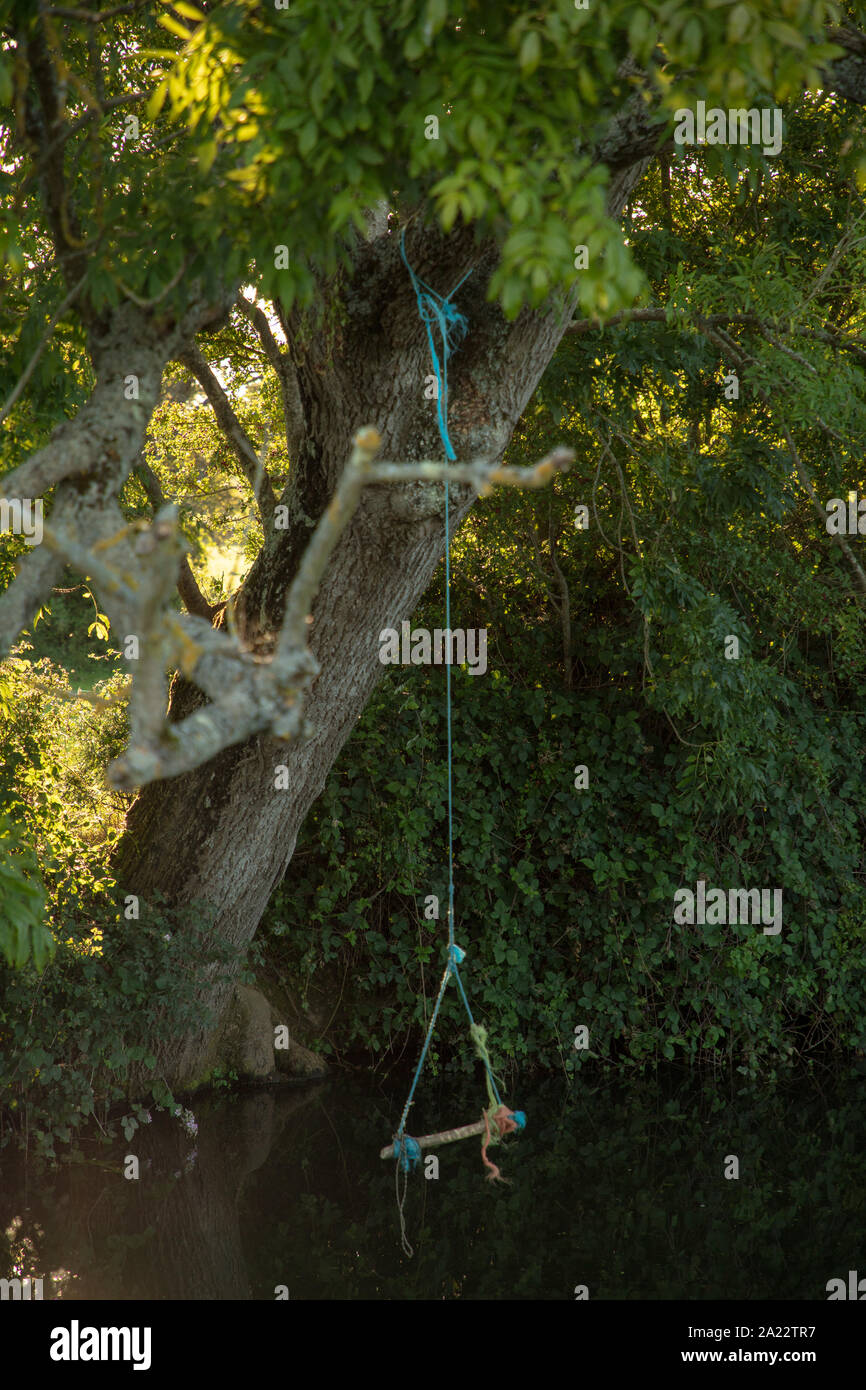 Plants living along a stream hi-res stock photography and images - Alamy