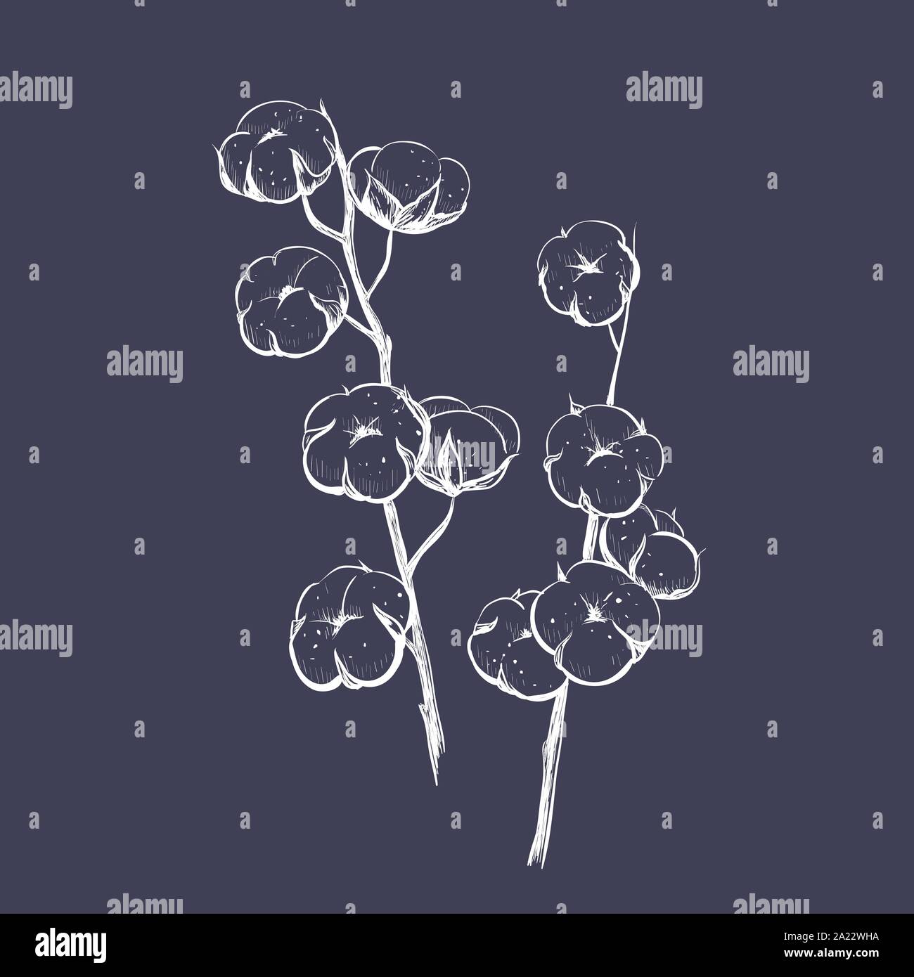 Cotton ball art hi-res stock photography and images - Alamy