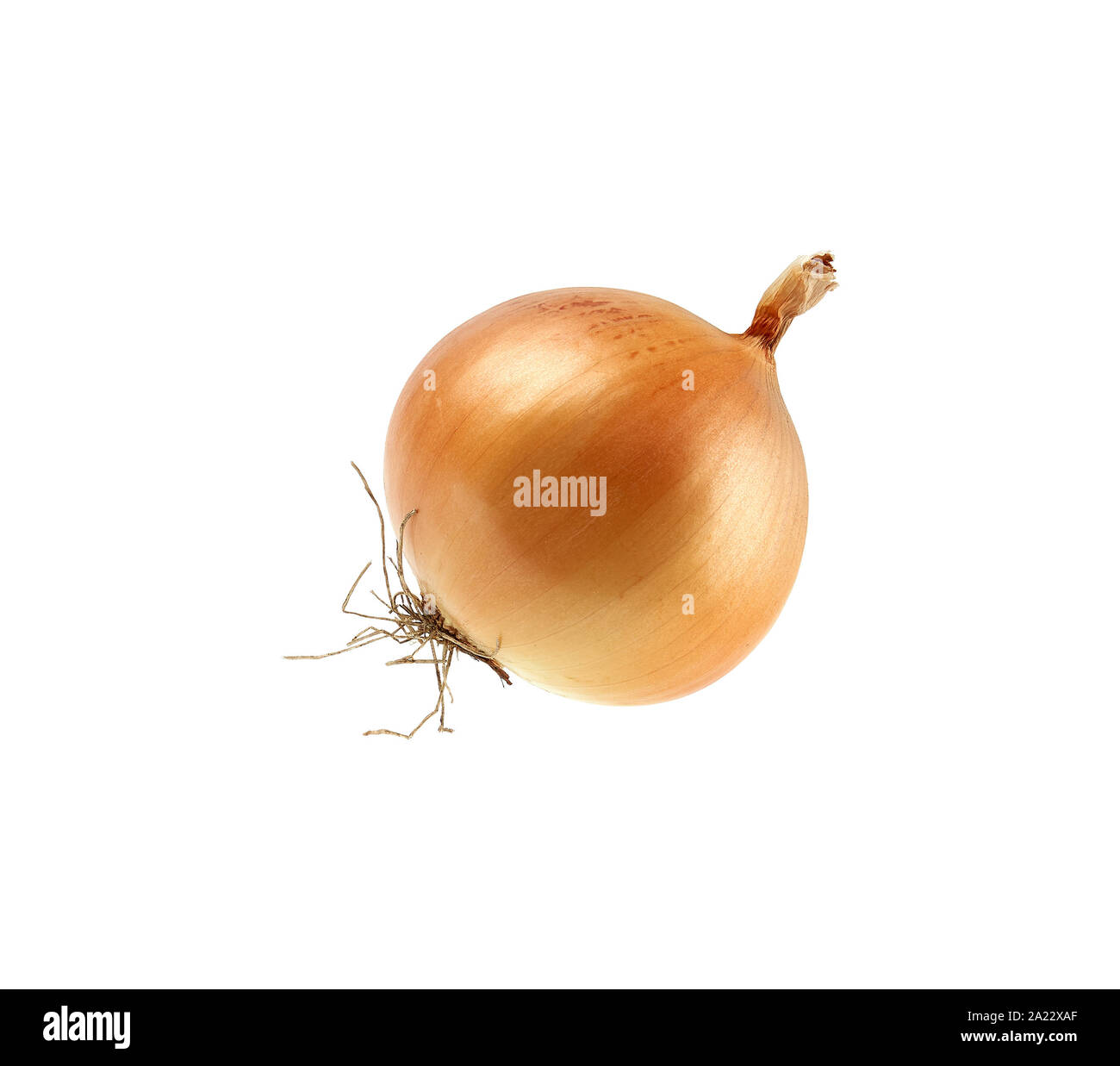 round whole onions in brown husk isolated on a white background, close ...
