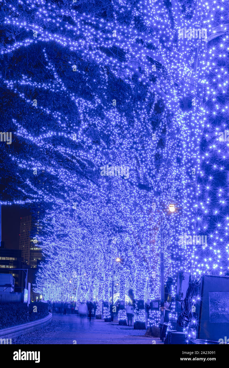 Shibuya Blue Cave winter illumination festival, beautiful view, popular ...