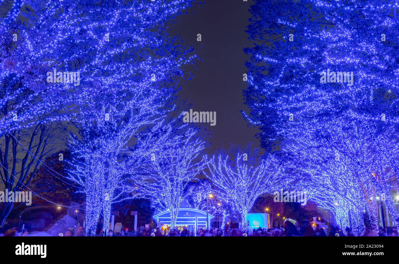 Shibuya Blue Cave winter illumination festival, beautiful view, popular ...