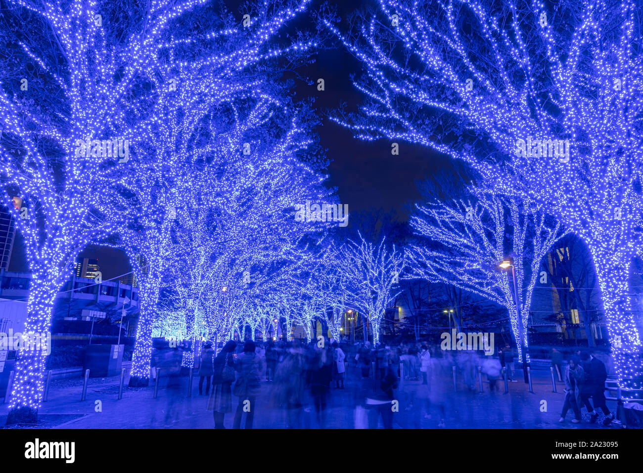 Shibuya Blue Cave winter illumination festival, beautiful view, popular ...