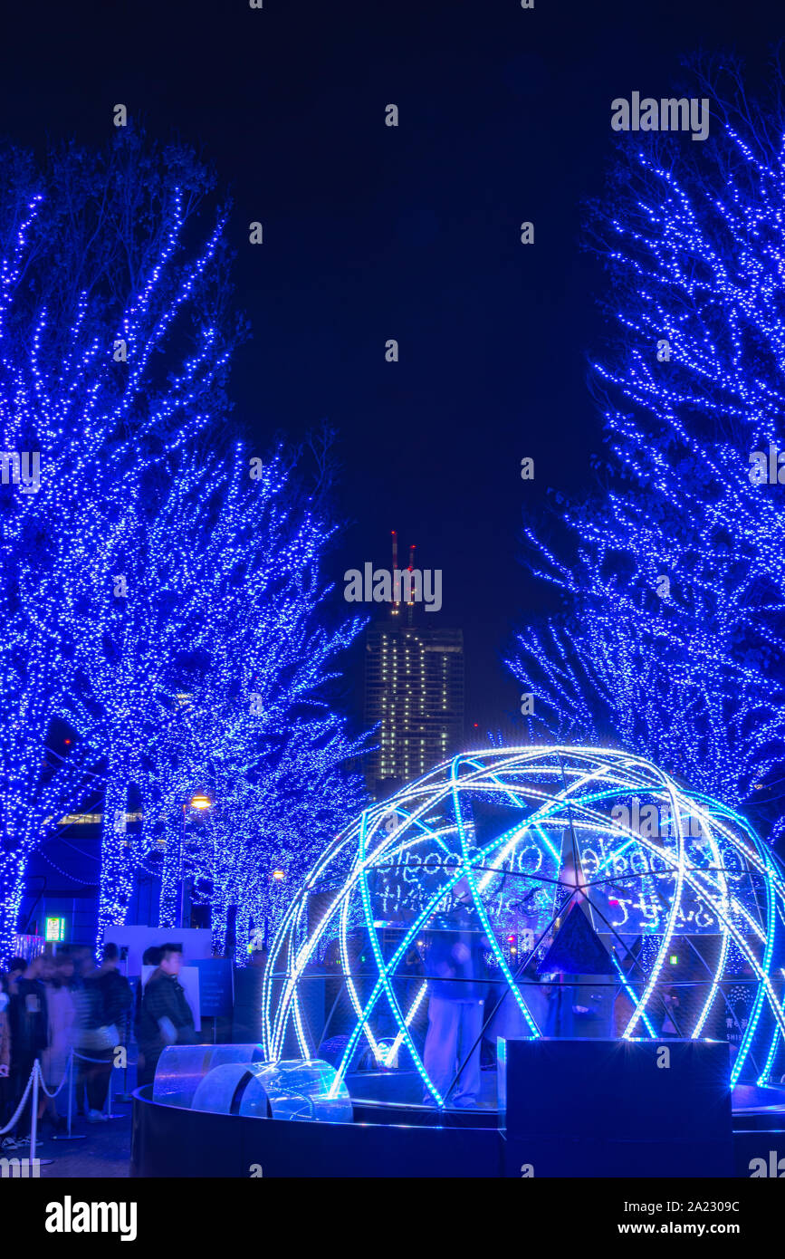 Shibuya Blue Cave winter illumination festival, beautiful view, popular ...