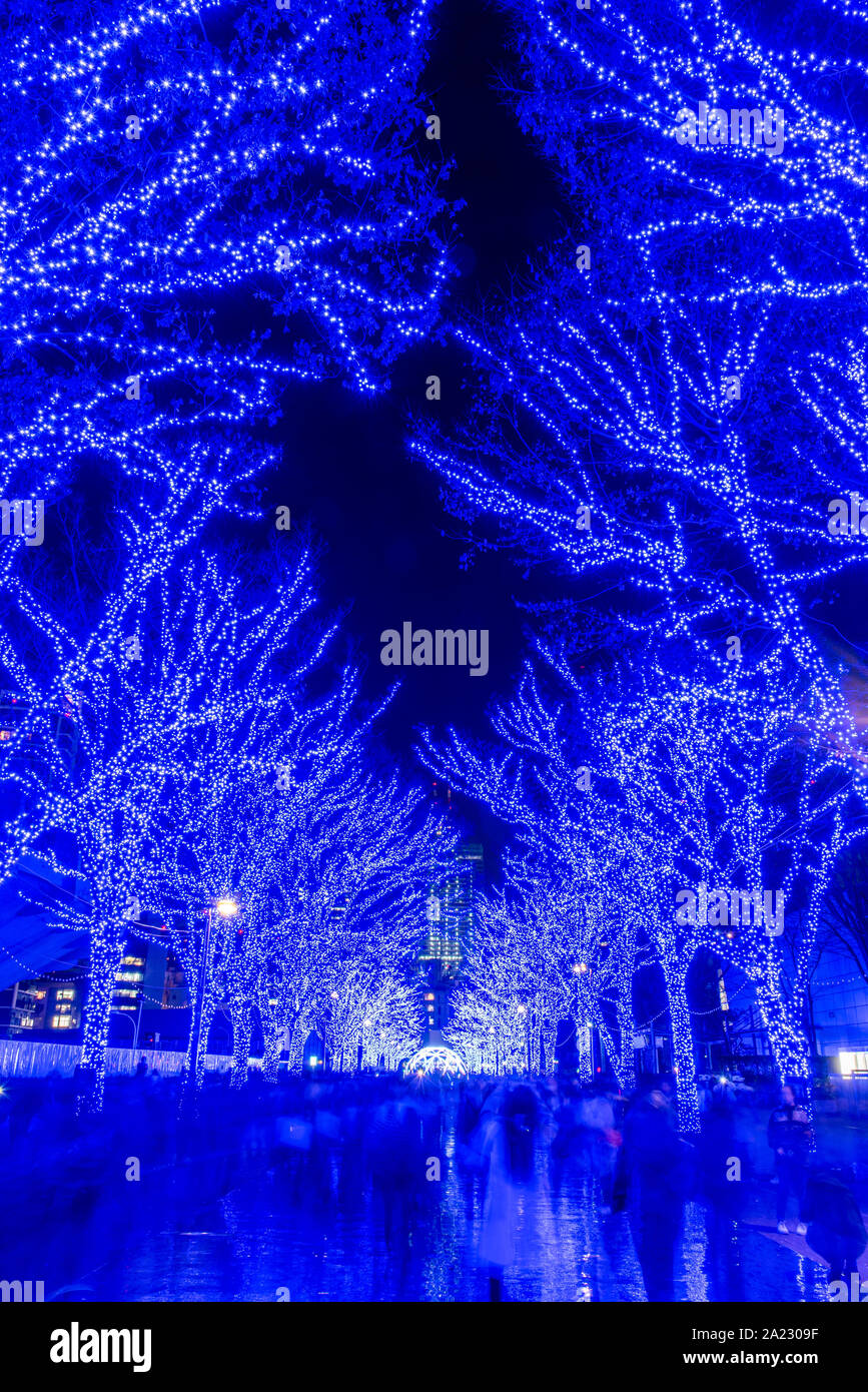 Shibuya Blue Cave winter illumination festival, beautiful view, popular ...